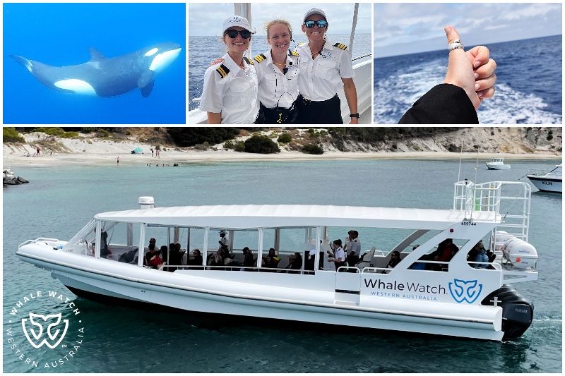 Whale Watch 1 Launches | Whale Watch Western Australia