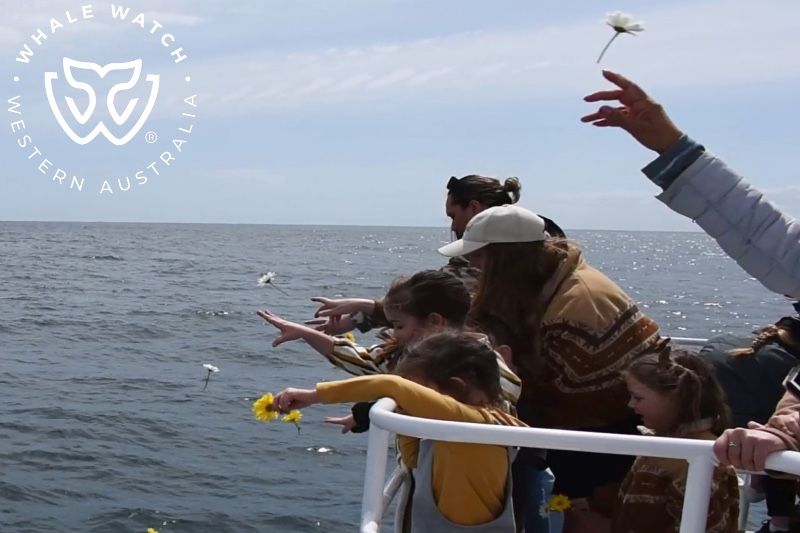 The Queens Day | Whale Watch Western Australia